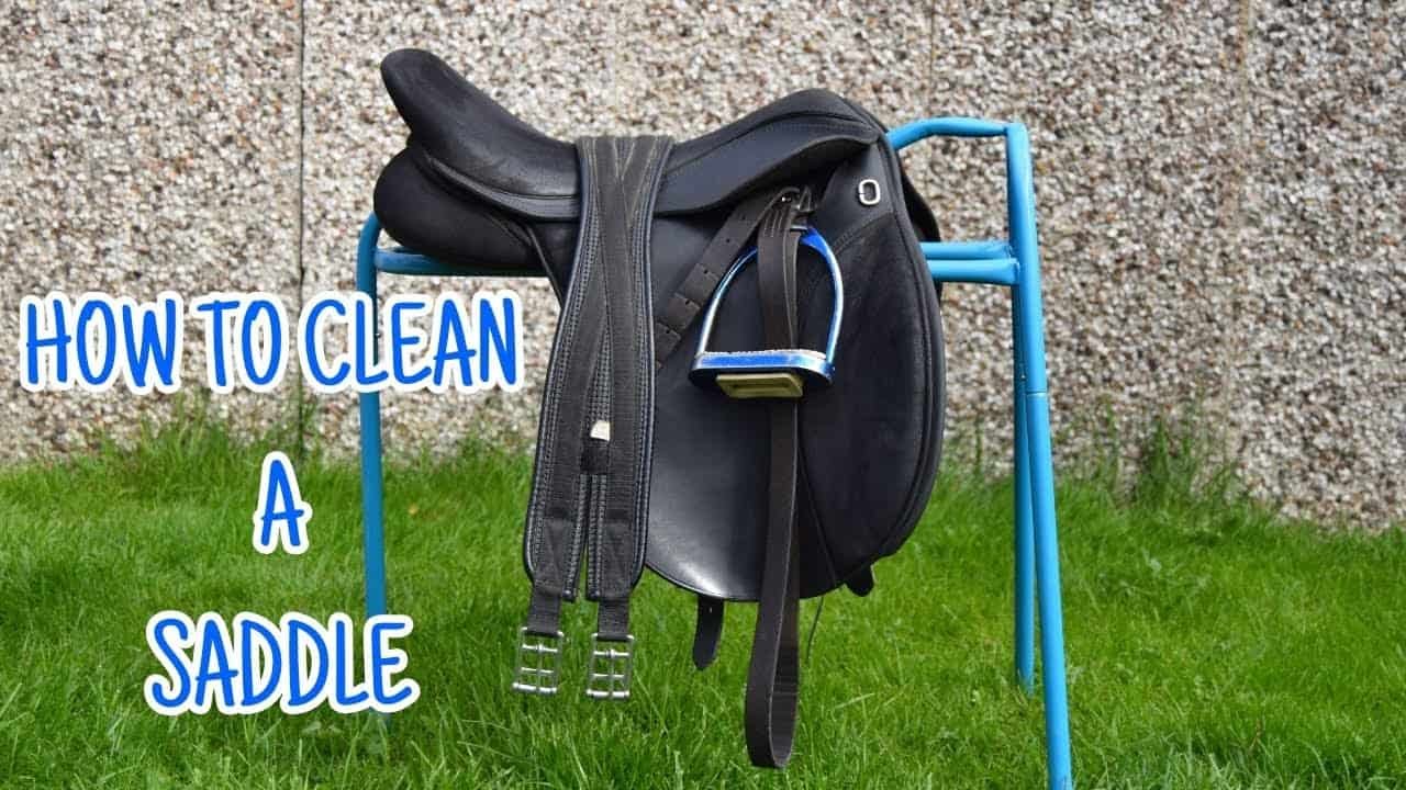 How To Clean A Synthetic Saddle | CleaNESTOR