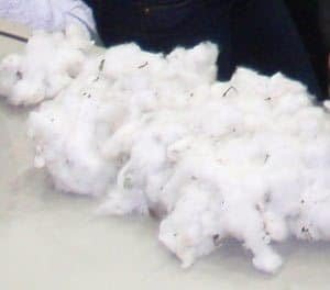 How To Clean Raw Cotton At Home? | Cleanestor