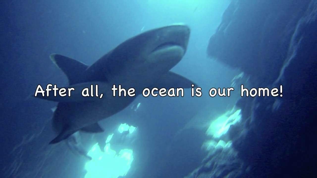 How To Keep The Ocean Clean | CleaNESTOR