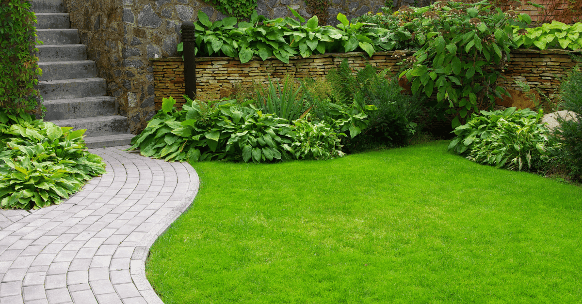 Why Cleaning Your Garden Is Important? (Reasons And Benefits) | CleaNESTOR
