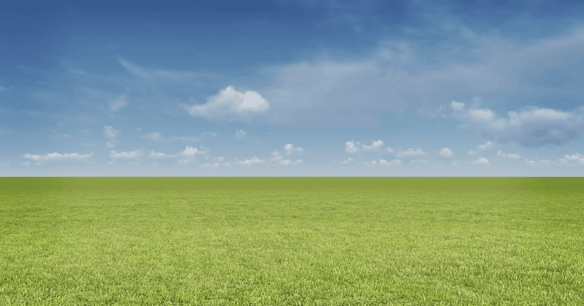 Why Do You Need To Keep Your Playground Clean? | Cleanestor