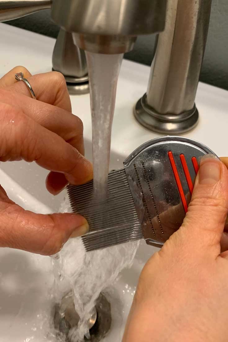 How To Clean A Nit Comb | CleaNESTOR