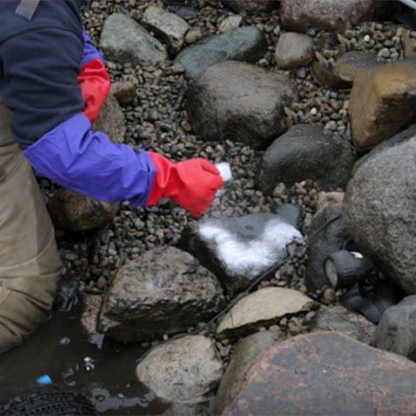 How To Clean Algae Off Rocks In A Pond | Cleanestor