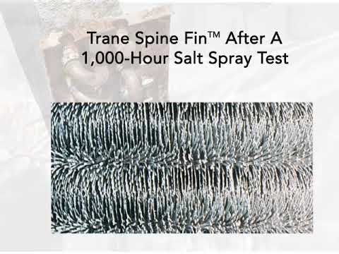 How To Clean Spine Fin Coils | Cleanestor