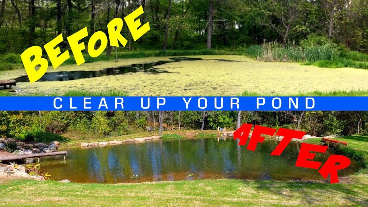 How To Make Lake Water Clear | CleaNESTOR