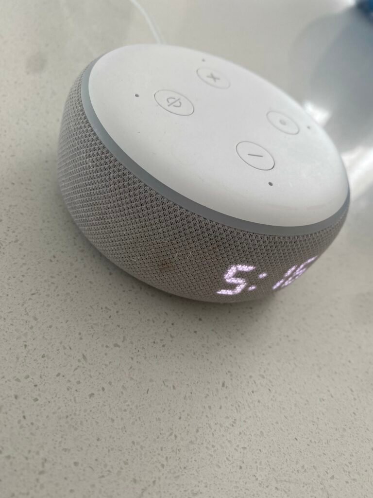 How To Clean Alexa Echo | Cleanestor